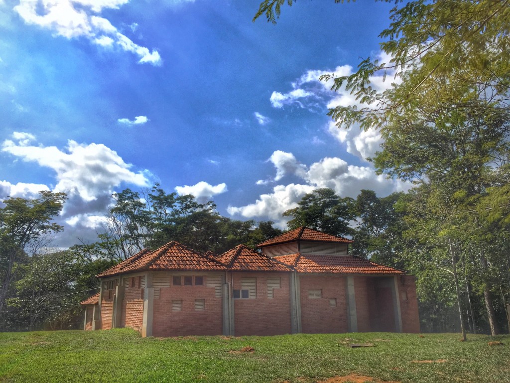 Parque Estadual do Rio Doce – O que fazer e como chegar ...