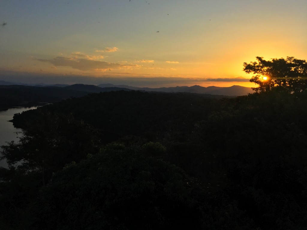Parque Estadual do Rio Doce – O que fazer e como chegar ...